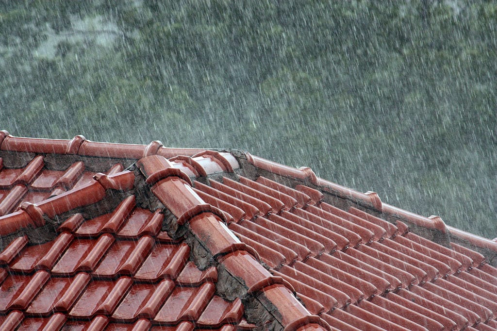 How to prevent winter roof flooding! - Dickies Tree Service